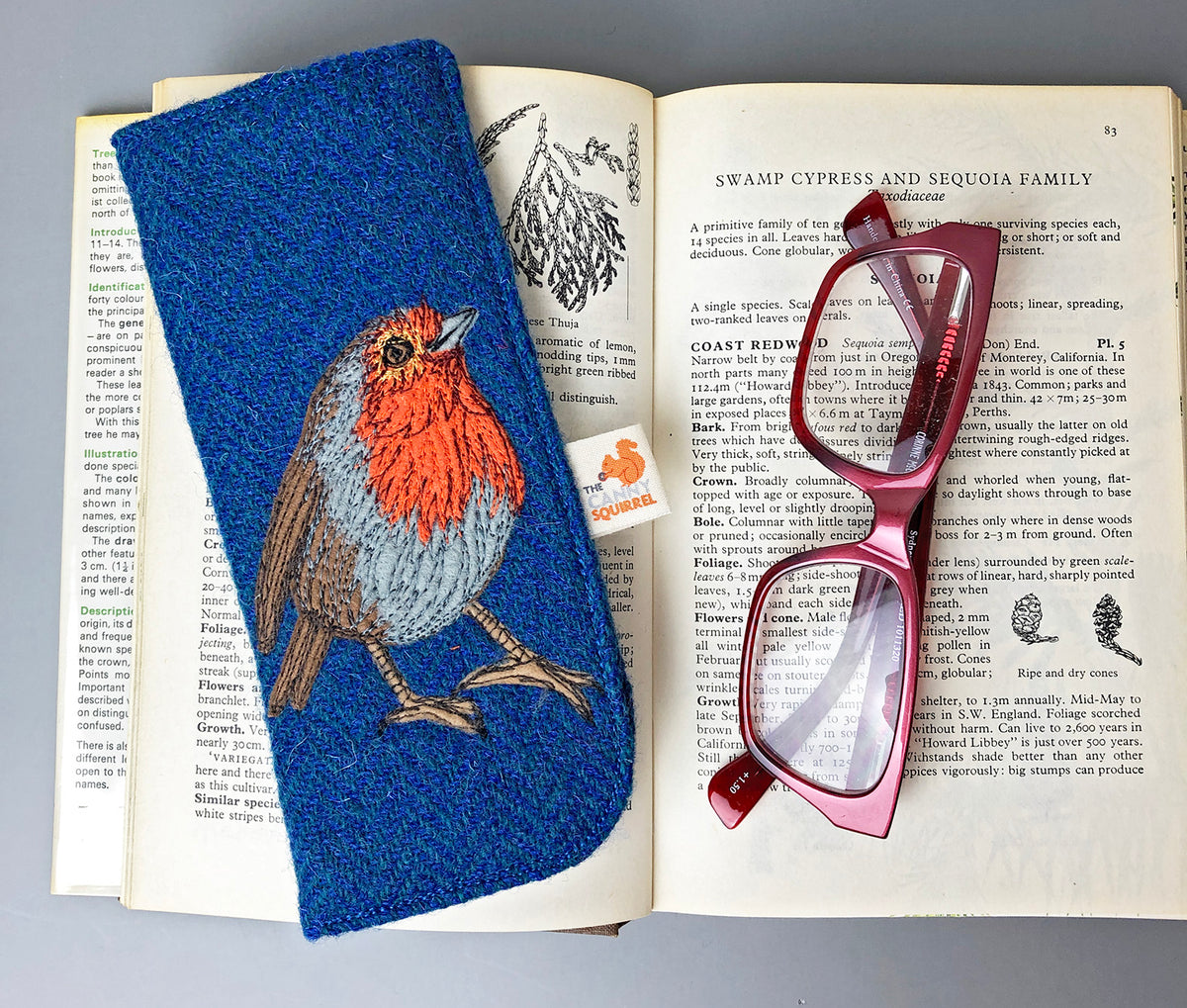 Robin glasses case – The Canny Squirrel
